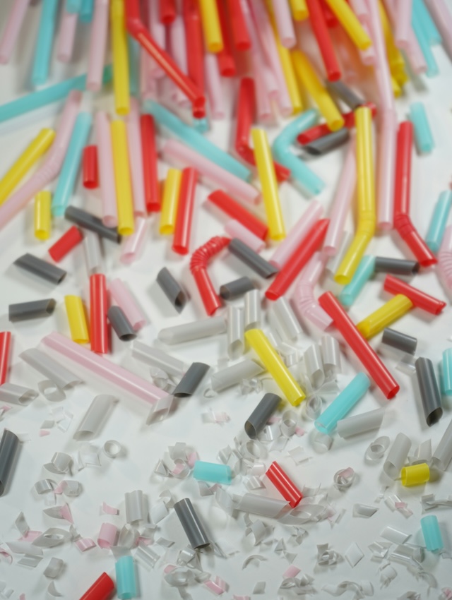Why Tiny Microplastics Are A Huge Problem - The Eco Edit